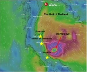 Tropical Storm Pabuk to Hit Thailand | InterRisk Asia (Thailand) Co., Ltd.